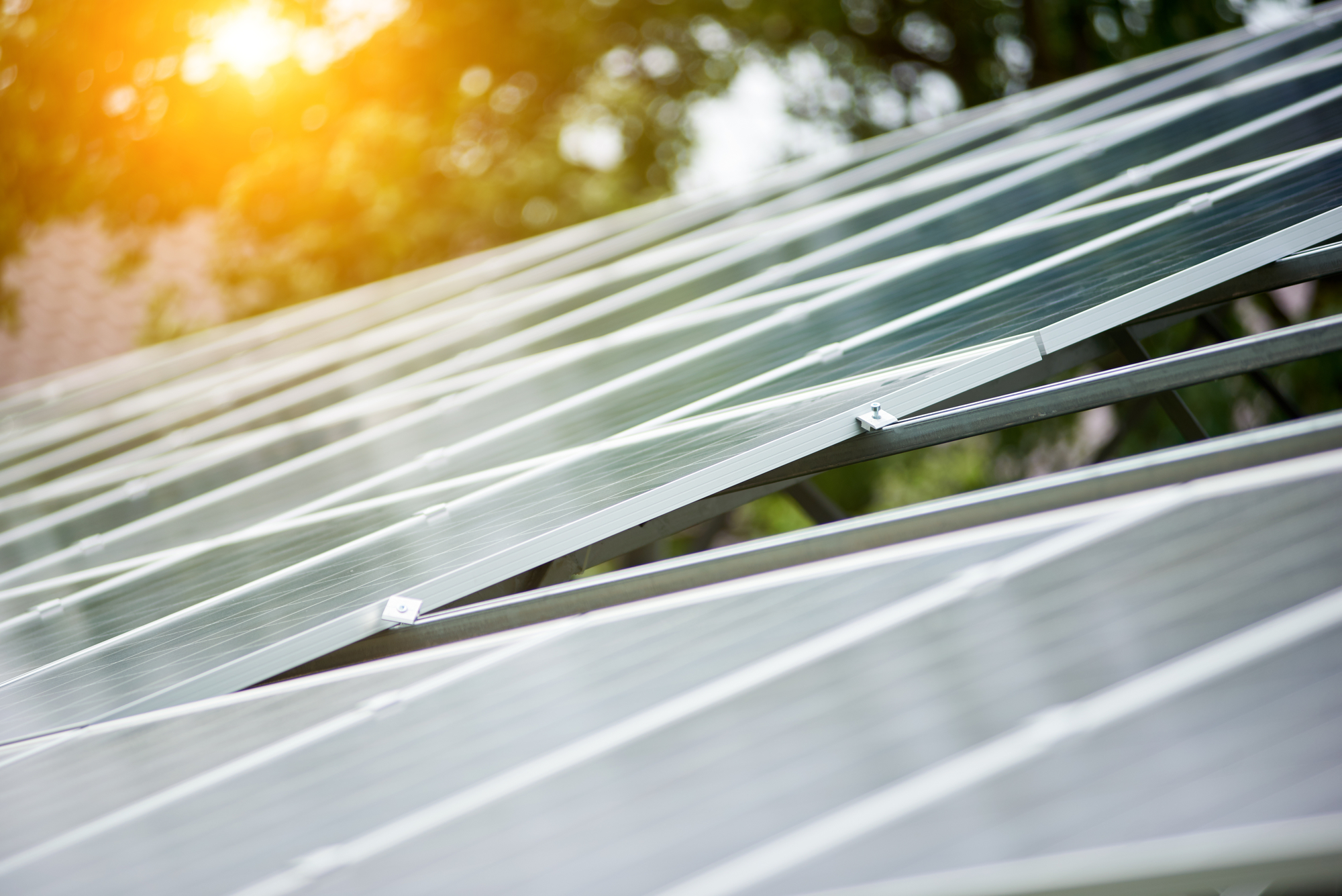 Bayer Pakistan Crop Science Goes Green