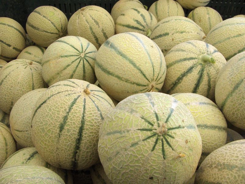 Fruits