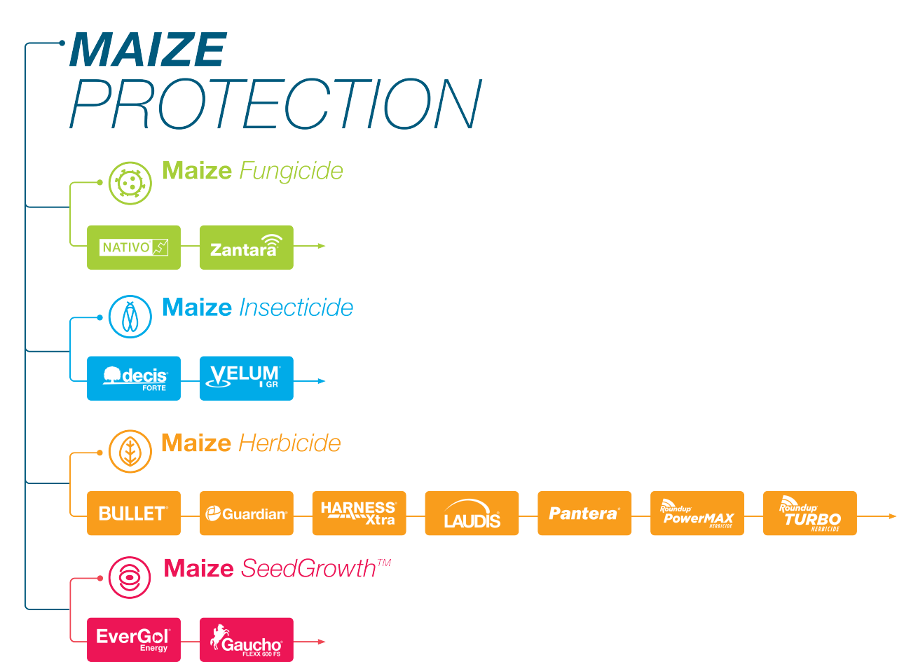 Row Crop Protection | Crop Science | Bayer - South Africa